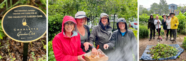 McGill Rose Garden – The Charlotte Garden Club